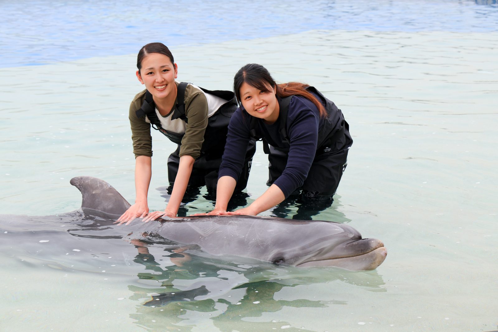 Discovery Guidance｜Business Hours and Pricing｜KOBE SUMA SEA WORLD ...